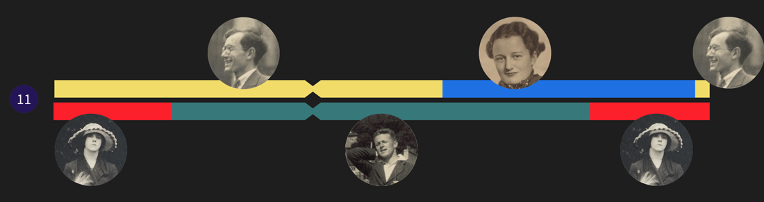 Why map your chromosomes? | DNA Painter Blog | Chromosome Mapping