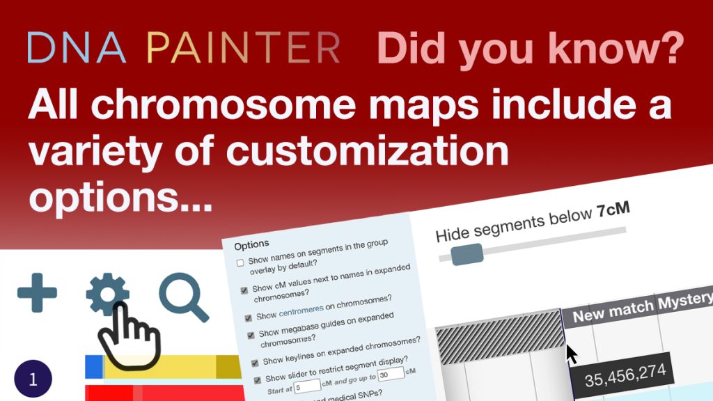Chromosome Mapping Archives | DNA Painter Blog