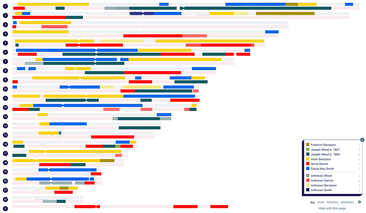 Customizing your chromosome map: did you know? #4 | DNA Painter Blog