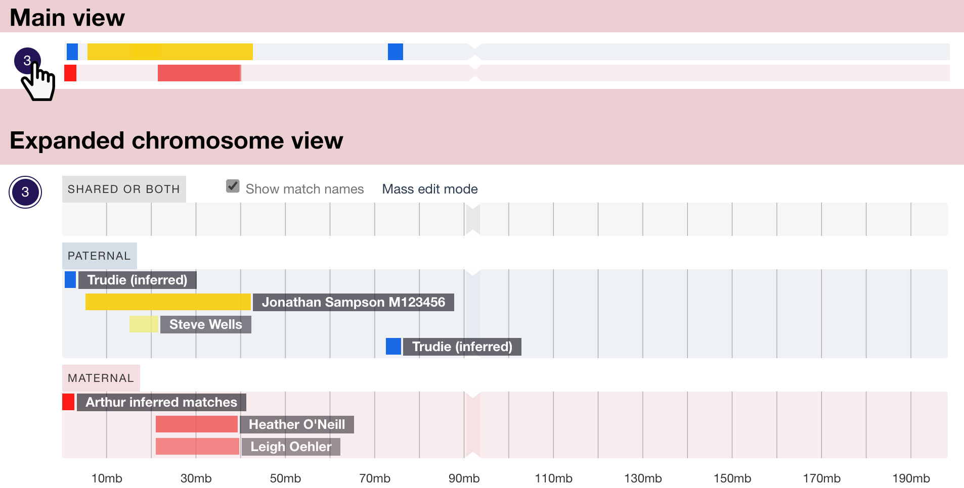 Different views in your chromosome map: did you know? #5 | DNA Painter Blog
