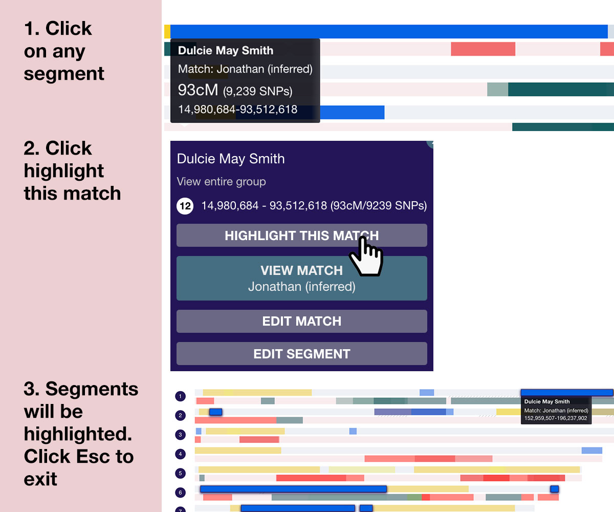 Different views in your chromosome map: did you know? #5 | DNA Painter Blog
