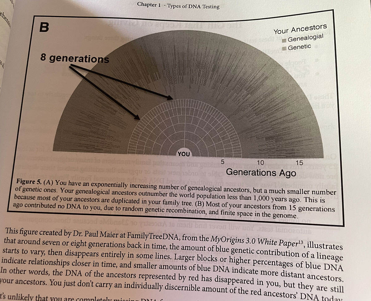 The Complete Guide to FamilyTreeDNA by Roberta Estes | DNA Painter Blog