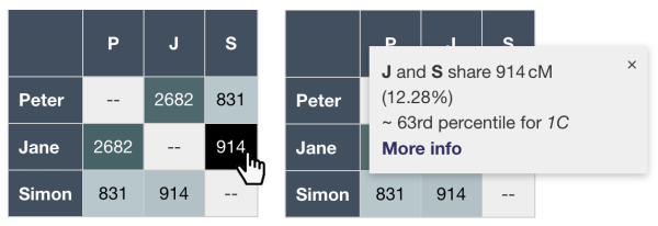 Shared DNA at a glance: the new DNA matrix tool | DNA Painter Blog